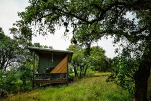 Marla Barnard | Wanderin Star Farms | Dripping Springs Locals » Lauren ...