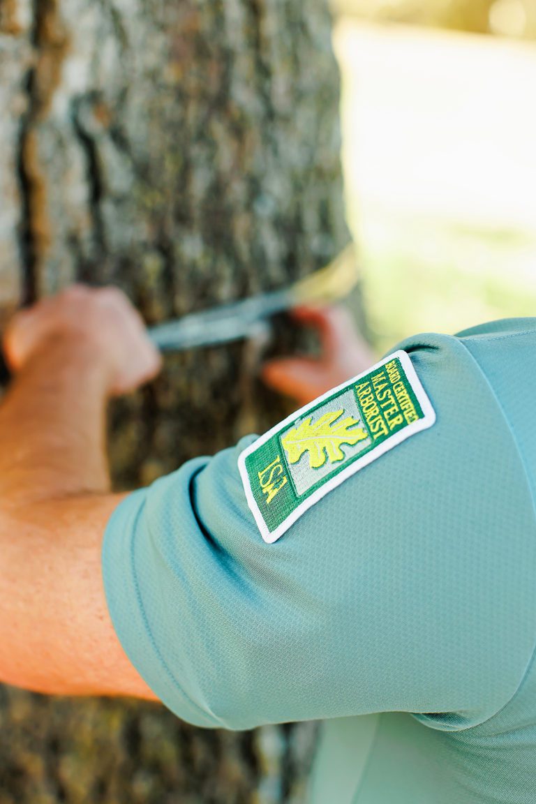 Understanding Oak Wilt with Master Arborist Kevin Belter » Lauren Clark ...